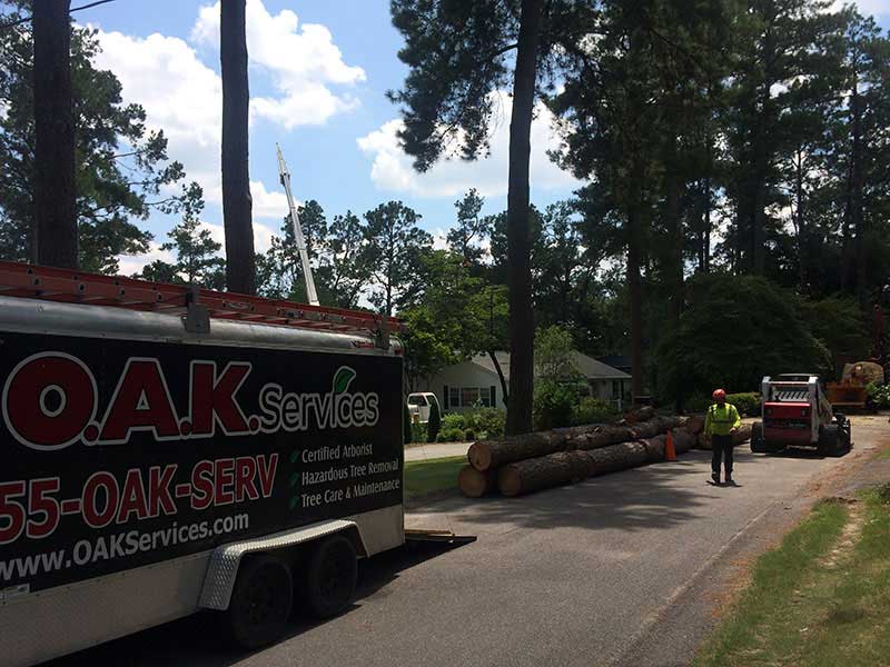 Tree Project Gallery | O.A.K. Tree Services in Aiken, SC