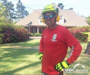 About O.A.K. Services | Tree Service in Aiken, SC