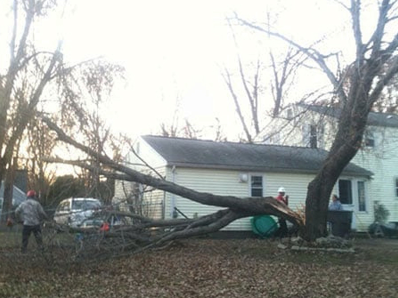 Tree Project Gallery | O.A.K. Tree Services in Aiken, SC