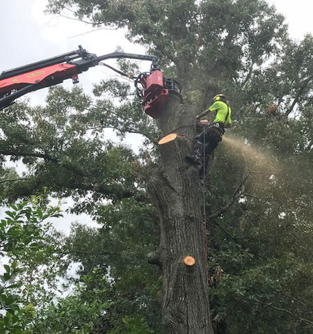 Our Tree Equipment | O.A.K. Tree Services in Aiken, SC