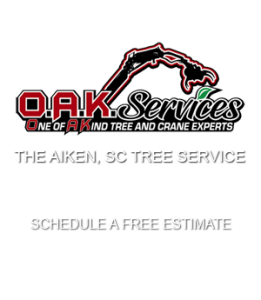 O.A.K. Tree Services In Aiken, SC | Certified Arborist